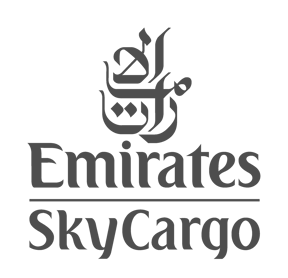 6500X Container – SkyCell