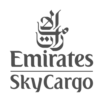 6500X Container – SkyCell